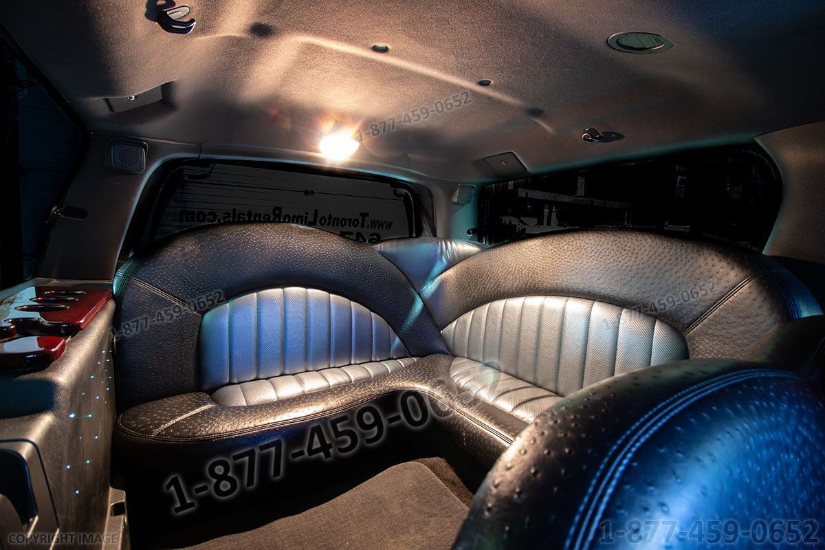 Best Party Bus and Limo Bus Rental Fleet | Titanium Party Bus